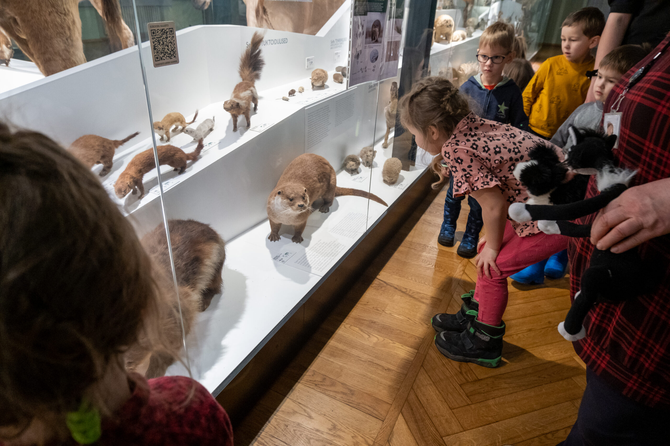 TÜ loodusmuuseumi ja botaanikaaia haridusprogrammid - Õpetajate Leht